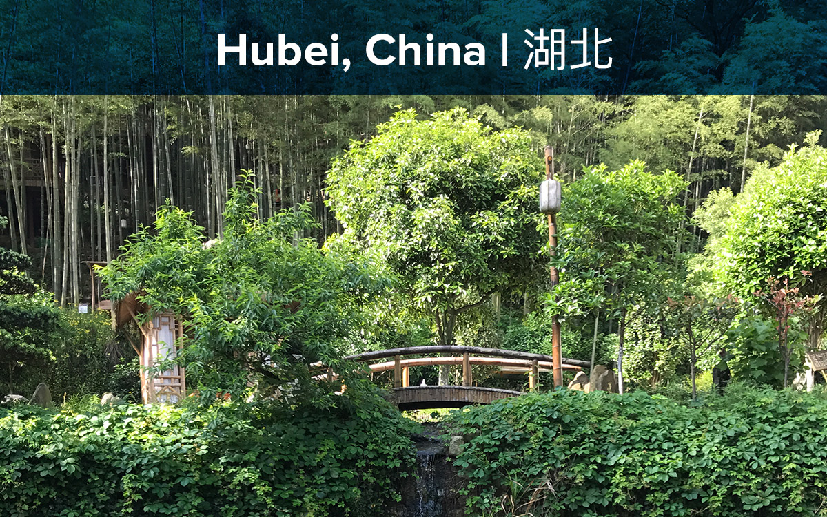 Prenatal Yoga Teacher Training – Hubei | May 16-25, 2019 - The Dolphin ...